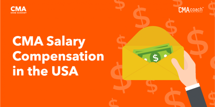 Certified Management Accountant Salary: A Guide for 2022