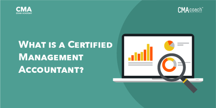 Certified Management Accountant: All You Need To Know