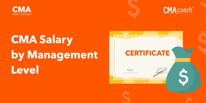 Certified Management Accountant Salary: A Guide for 2021