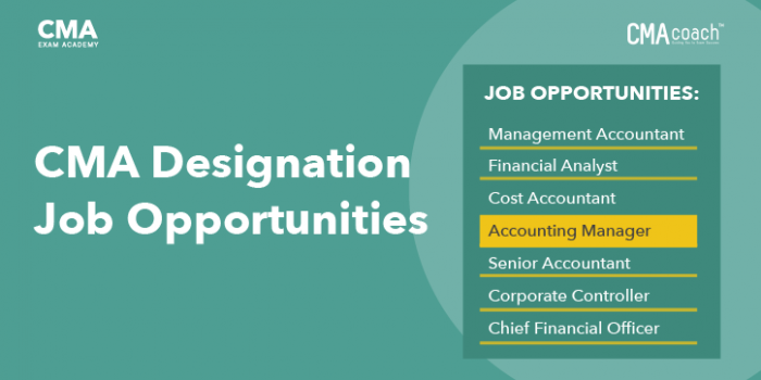 CMA Careers: Your Guide to High-Paying CMA Roles